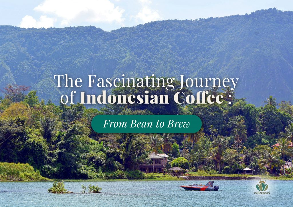 The Fascinating Journey of Indonesian Coffee: From Bean to Brew ...