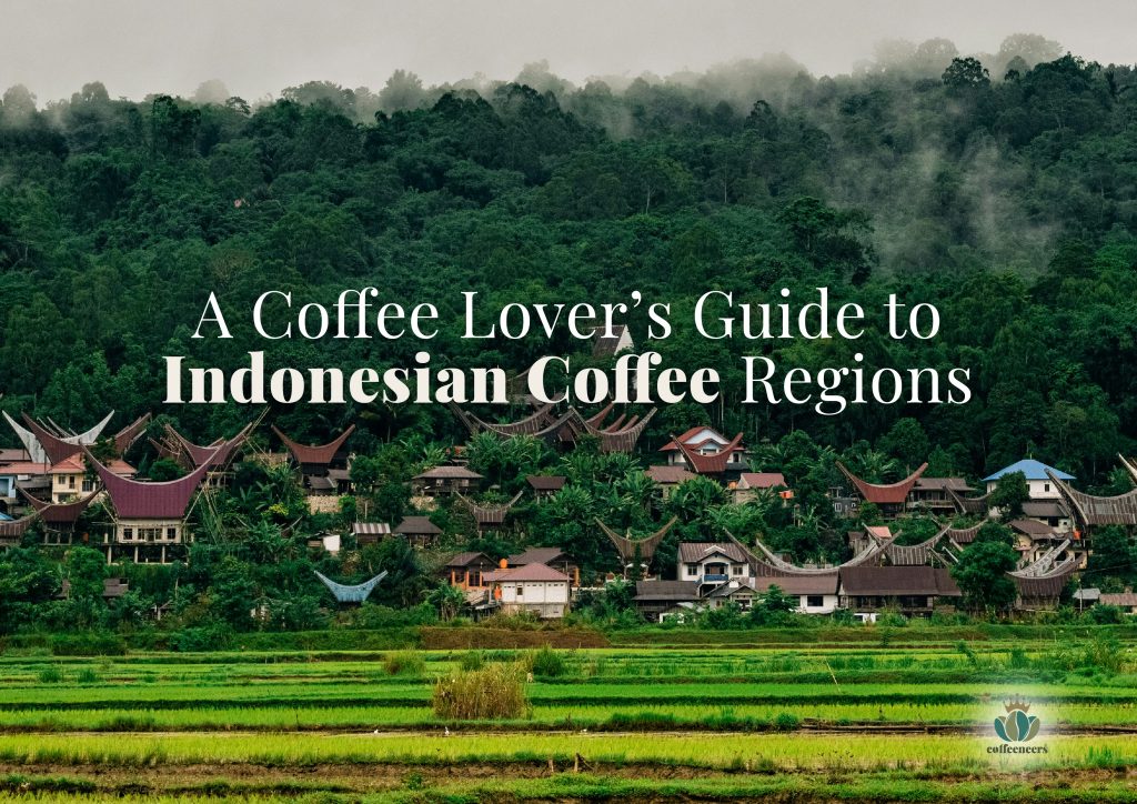 A Coffee Lover's Guide to Indonesian Coffee Regions - Coffeeneers ...